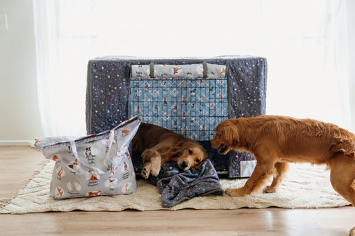 Stylish Hound | Modern Dog Accessories