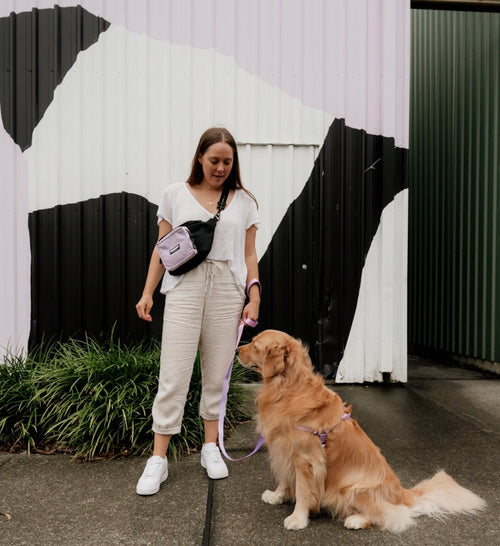 Stylish Hound | Modern Dog Accessories