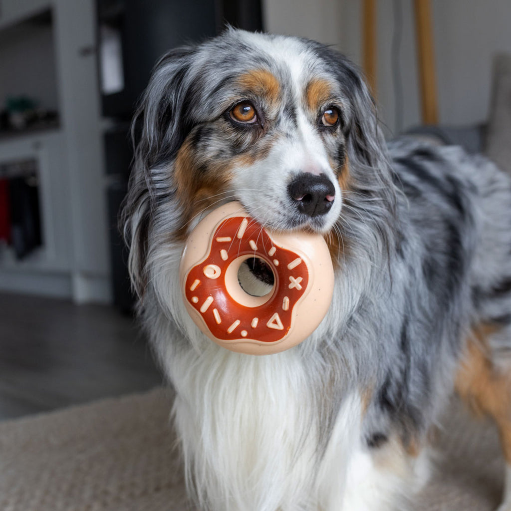 Chocolate Donut Squeaker Power Chew | Afterpay | Stylish Hound