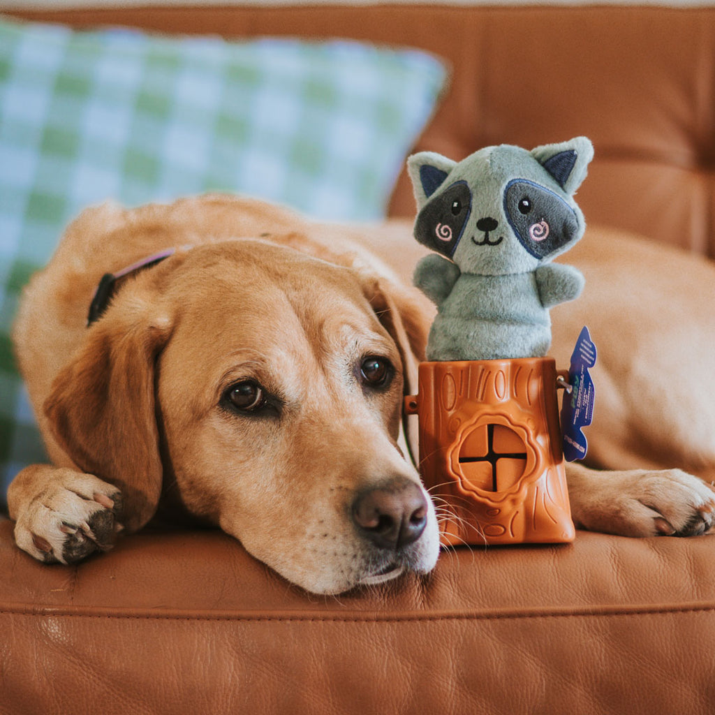 Raccoon 2in1 Soft + Rubber Toy Treat Dispenser | Afterpay | Stylish Hound